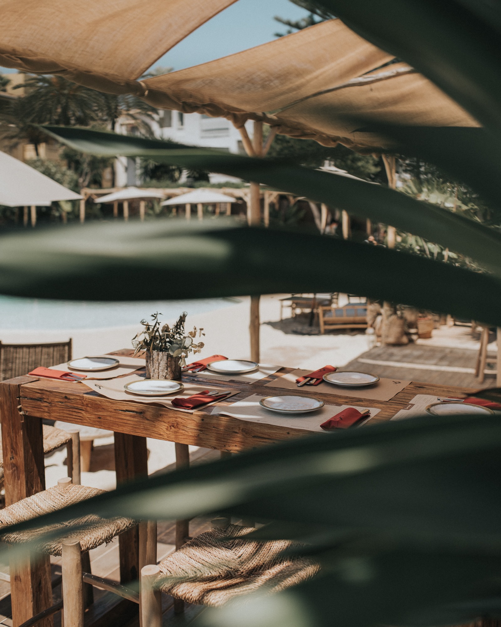 Paella, Mojitos y Pool Bar en Marbella: Vive la Experiencia Definitiva ...