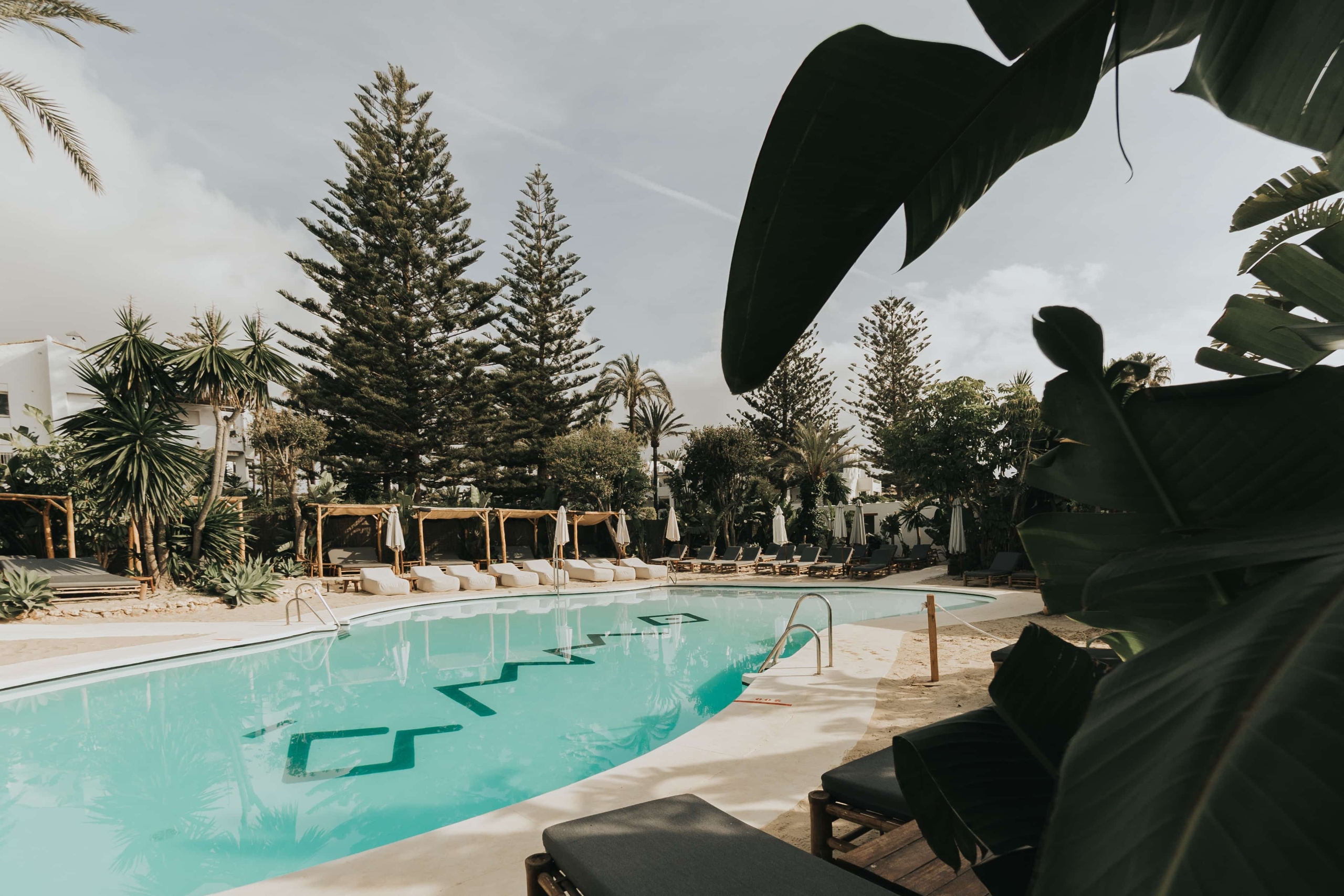 Ammo Marbella | Club de playa con piscina y hamacas